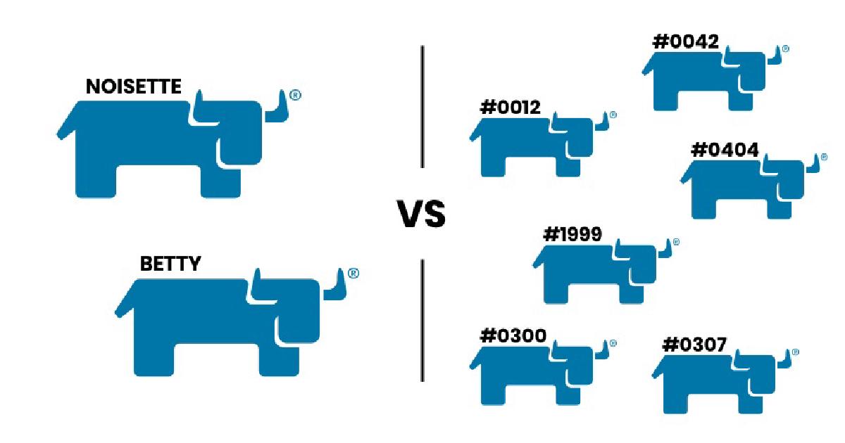 Rancher 2: Three Installation Methods